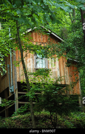 Mining camp cabin at Barthell coal Mining Camp,Kentucky Stock Photo - Alamy