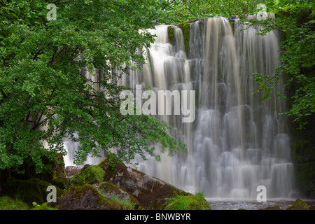 Scale Haw Force Waterfall at Hebden near Grassington, Wharfedale ...