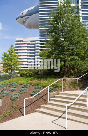Discovery Channel headquarters with Shark Week decorations Stock Photo ...