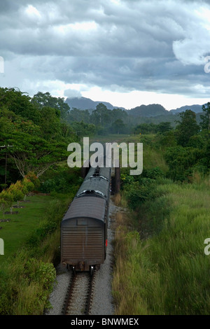 Malaysia, Kelantan, Jungle Railway, train travelling through jungle ...