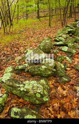 Rocks in Ward Pound Ridge Reservation Stock Photo - Alamy