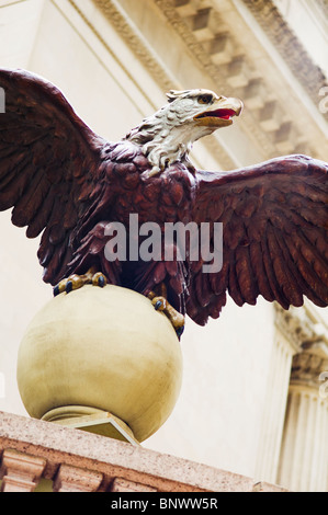 Low angle of a bald eagle perched on a tree branch Stock Photo - Alamy