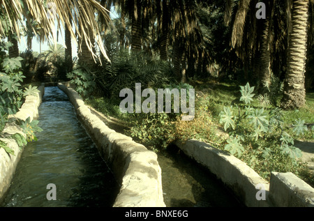 Falaj (irrigation system) in date palm grove, Hatta Heritage Village ...