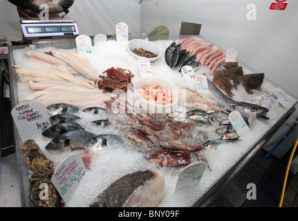 united kingdom littlehampton a wet fish display on a fishmongers stall ...