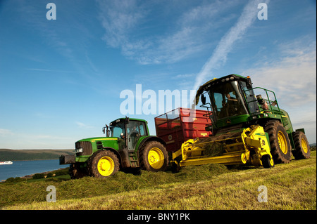 John Deere Forage Harvester harvesting silage to feed dairy cows in ...
