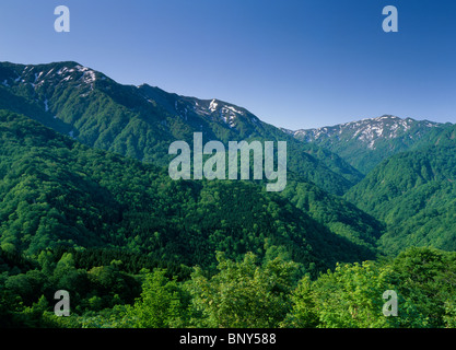Shirakami Sanchi, Fukaura, Nakatsugaru, Aomori, Japan Stock Photo - Alamy
