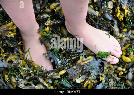 A childs feet in seaweed on a beach UK Stock Photo: 30718890 - Alamy