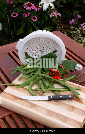 SCARLET EMPEROR RUNNER BEANS Stock Photo - Alamy