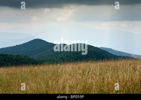 Max Patch, Appalachian Trail, NC, USA Stock Photo - Alamy