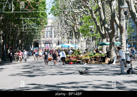 The Allee Paul Riquet in the centre of Beziers, Languedoc, France Stock ...