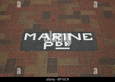 Street names in the pavement in Napier Stock Photo - Alamy