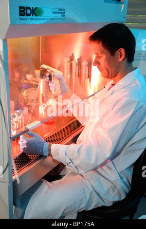 Medical biotechnology laboratories, of Center for Medical Biotechnology ...