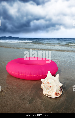 Seashell and inflatable tube Stock Photo - Alamy