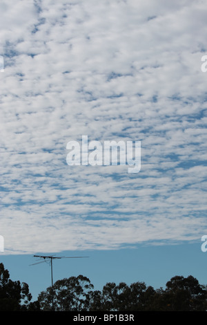 White color clouds cover the blue sky in the daytime Stock Photo - Alamy