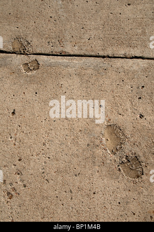 Someone stepping into shit Stock Photo - Alamy