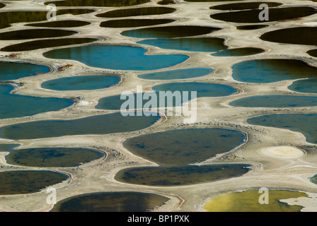 Spotted Lake in British Columbia, Canada Stock Photo - Alamy