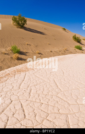 Cracked playa at Mesquite Flat Sand Dunes, Death Valley National Park ...