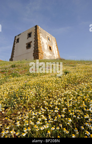 Impressions of Ustica Island, Ustica Island, Sizilia, Italy Stock Photo ...