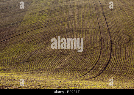 A photograph of cultivation patterns on a ploughed field Stock Photo ...
