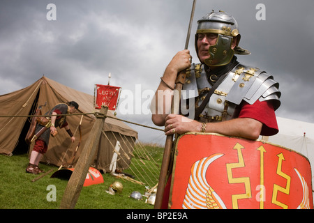 Roman Shield Wall historical re-enactment tortoise shields protection ...