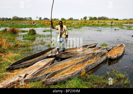 Botswana people Bayei mokoro poler at sunset in the Okovango Delta ...