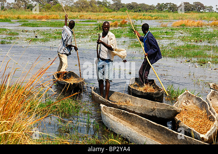 Local Bayei people in the tradiional mokoro dugout boat, Okavango Delta ...