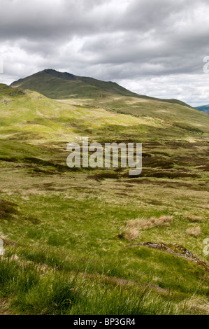 Landscape in the Ben Lawers National Nature Reserve, Scotland Stock ...