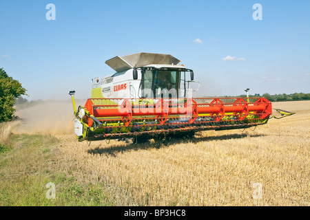 A modern combine harvester harvests wheat using a head-up display and ...