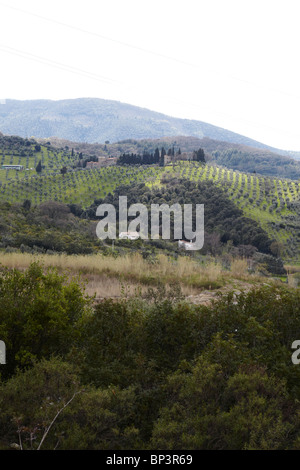 View over Gavorrano, Italy Stock Photo - Alamy