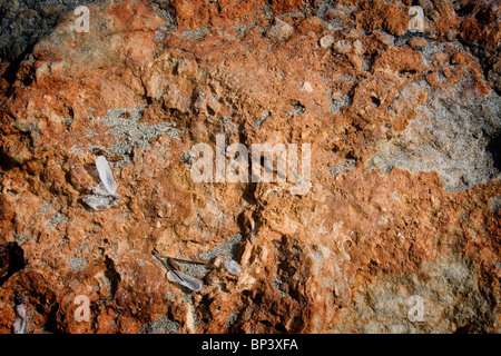 Orange / rust coloured rock texture with quartz crystals sparkling in ...