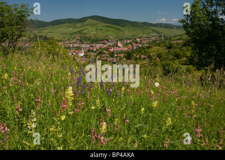 View of old Romanian village, Teaca, also known as Teke, from a ...