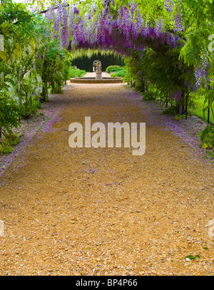 Wisteria arch pergola at Wisteria Walk in RHS Garden Wisley, Surrey ...