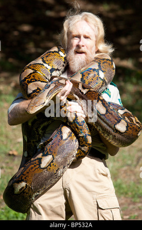 Mark O'shea with the 17 foot long Reticultaed Python which has arrived ...
