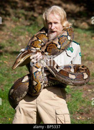 Mark O'shea with the 17 foot long Reticultaed Python which has arrived ...
