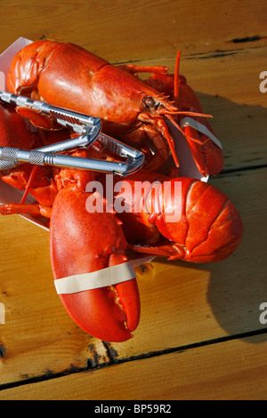 Lobster meal cooked and served, Lobsters are a family Nephropidae ...