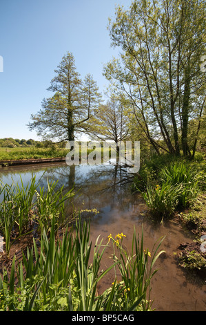 River Itchen Navigation Way, Brambridge. Hampshire England. 360 ...
