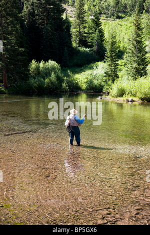 Retired gentleman fly fishing in Maroon Creek, Maroon Bells Snowmass ...