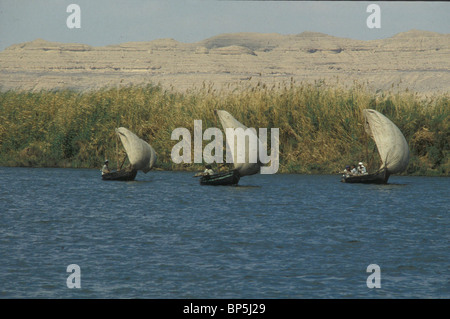 3490. THE "FALUKA" SAILING BOATS USED ON THE NILE FOR MANY GENERATIONS ...