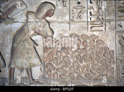 EGYPTIAN OFFICIAL COUNTING THE SEVERED HANDS OF THE ENEMY DEAD WHILE A ...
