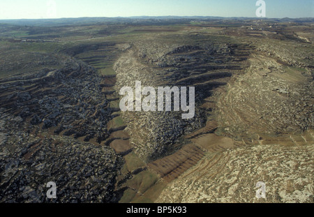 3656. JUDEA - COUNTRYSIDE BETWEEN BETLECHEM AND HEBRON WITH ARAB ...