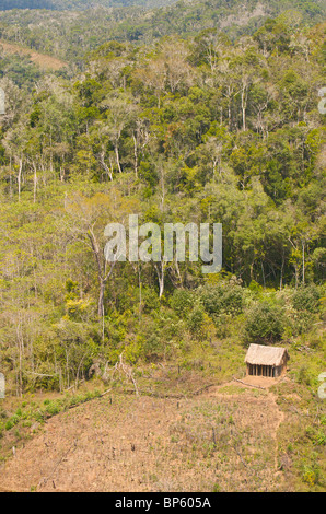 DEFORESTATION MADAGASCAR AFRICA Stock Photo - Alamy