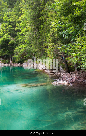 A panorama of Fusine lake Stock Photo - Alamy