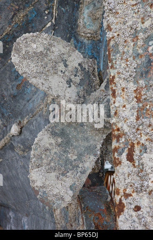 rust rusty hull ship propeller old ship boat sculpture art blue sky sun ...