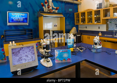Marine Exhibits at The Ocean Institute at Dana Point Harbor, Dana Point ...