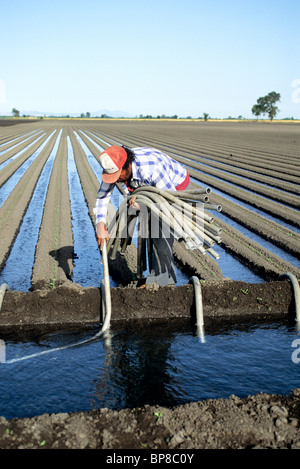 Farmer irrigating his field Stock Photo - Alamy