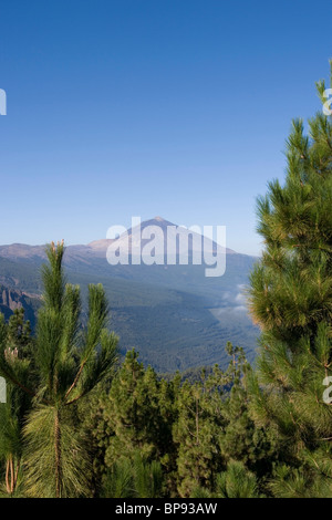 Mirador de Chipeque view to Teide and over the north coast of Tenerife ...