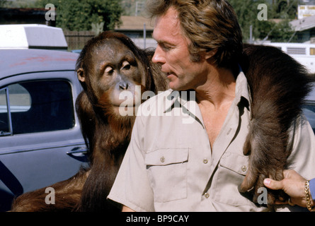 Clint Eastwood, Clyde / Every Which Way But Loose 1978 directed by ...