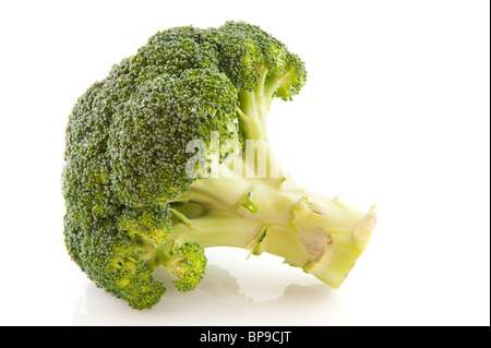 Fresh stump brocoli vegetables isolated over white Stock Photo - Alamy