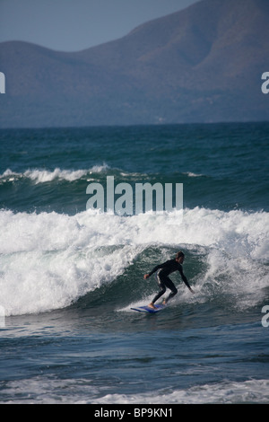 Surfing in Mallorca Spain Stock Photo - Alamy