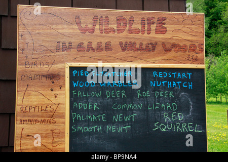 Wildlife sign at Kirroughtree Visitor Centre near Newton Stewart in the ...